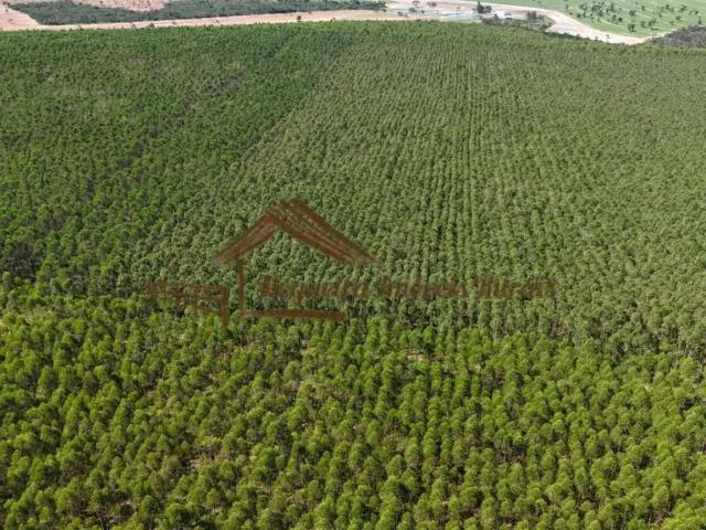 Fazenda para Venda em Botucatu/SP Zona Rural