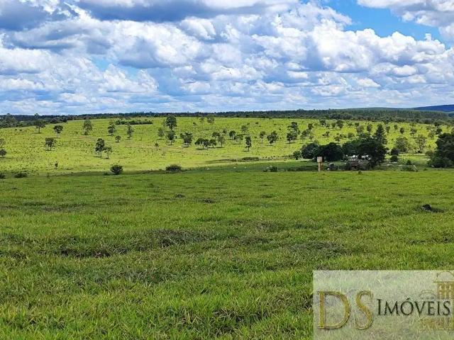Fazenda para Venda em Botucatu/SP Centro