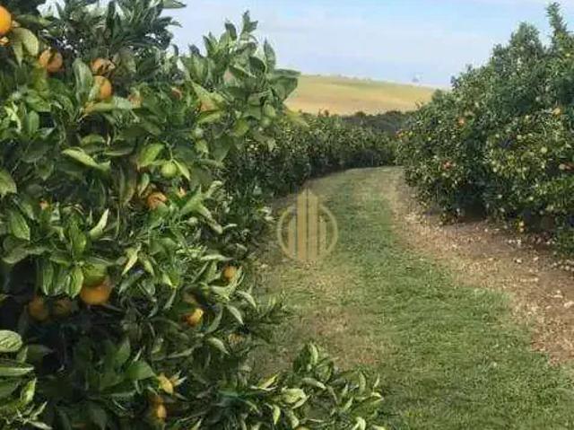 Fazenda para Venda em Botucatu/SP Centro