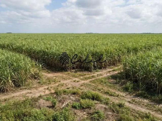 Fazenda para Venda em Boa Esperança do Sul/SP Centro 1 Quartos