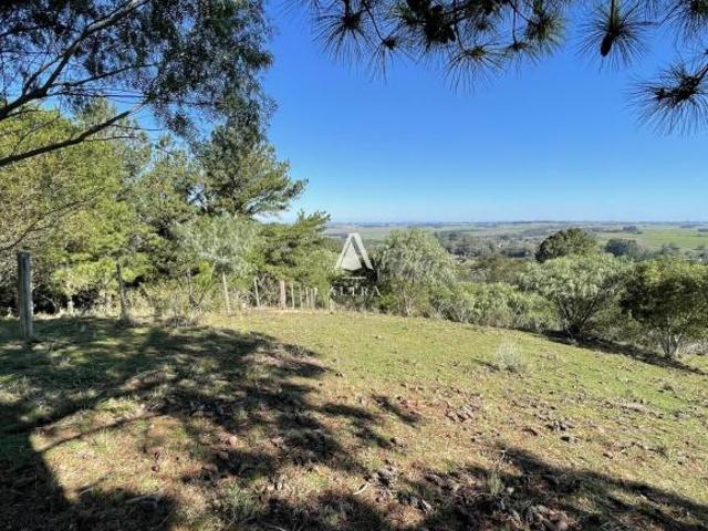 Fazenda para venda em Boca do Monte, Santa Maria