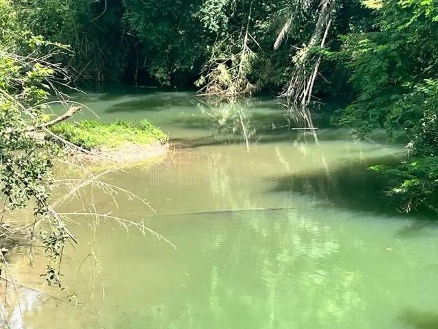Fazenda para Venda em Bodoquena/MS Zona Rural