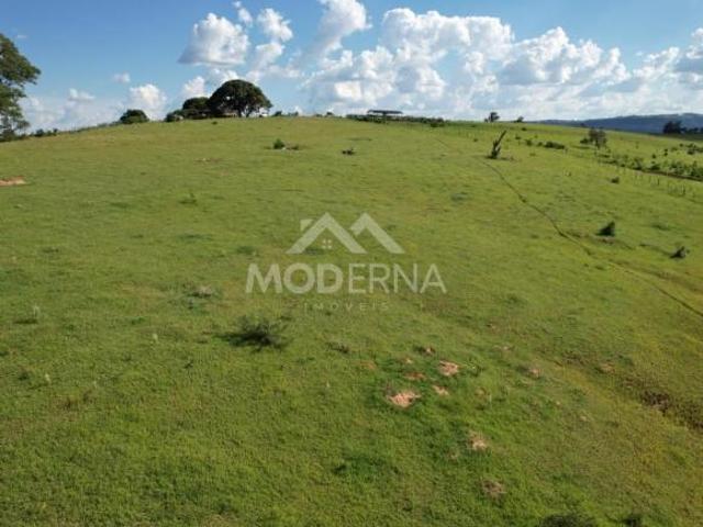 Fazenda para Venda em Bofete, Area Rural