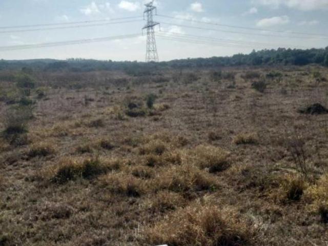 Fazenda para venda em Bofete