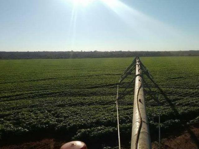Fazenda para Venda em Bom Despacho, rural