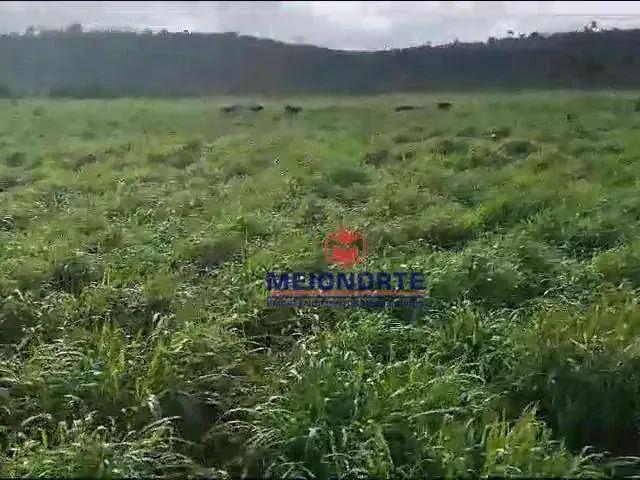 Fazenda para Venda em Bom Jesus das Selvas/MA Centro 1 Quartos