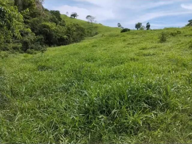 Fazenda para Venda em Bom Jesus do Norte/ES Centro