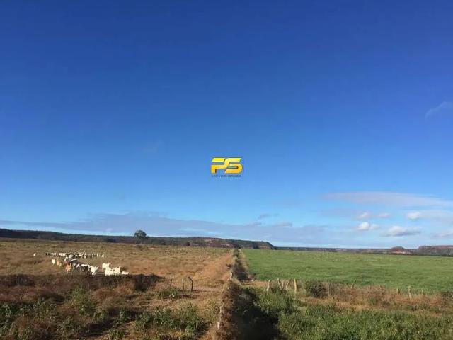 Fazenda para Venda em Bom Jesus/PI Zona Rural