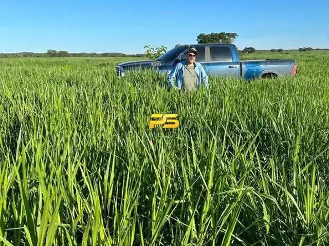 Fazenda para Venda em Bom Jesus/PI Zona Rural