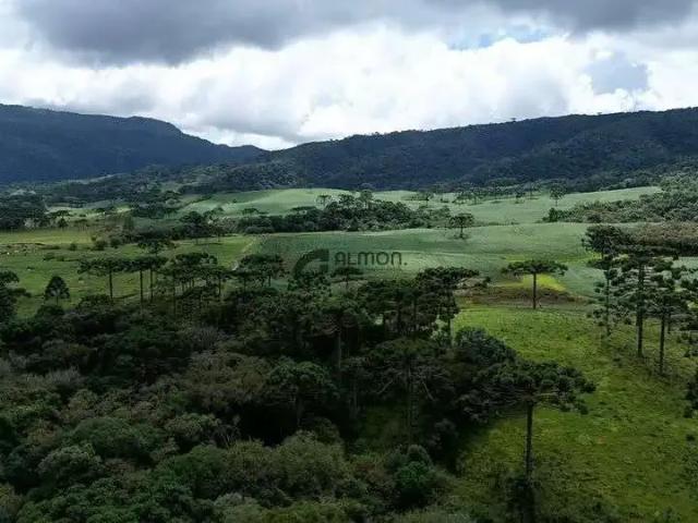 Fazenda para Venda em Bom Retiro/SC Zona Rural 2 Quartos