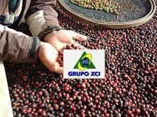 Fazenda para venda em Bom Sucesso