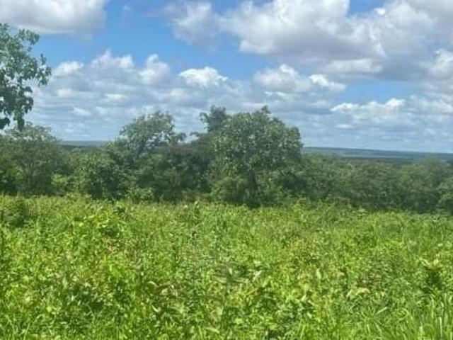 Fazenda para Venda em Bonfinópolis de Minas, Zona Rural