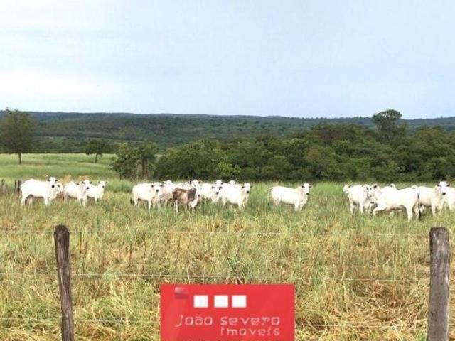 Fazenda para Venda em Bonito, 3 dormitórios, 2 banheiros
