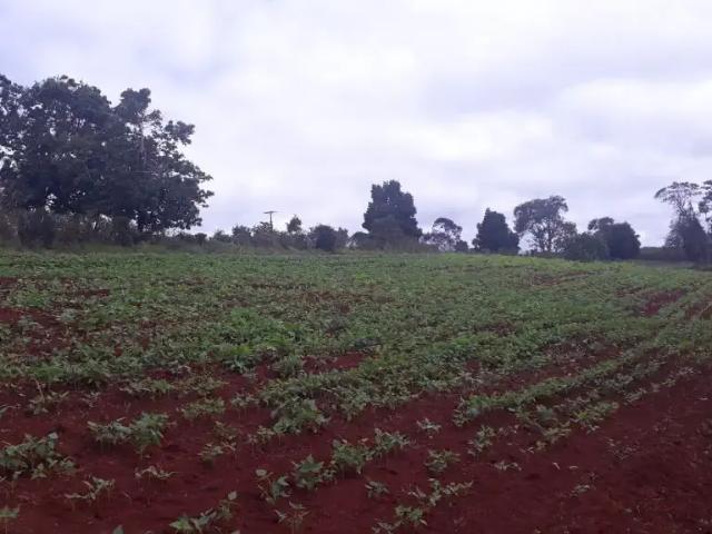 Fazenda para Venda em Bonito/BA Zona Rural