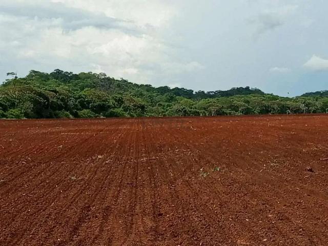 Fazenda para Venda em Bonito/MS Centro 5 Quartos