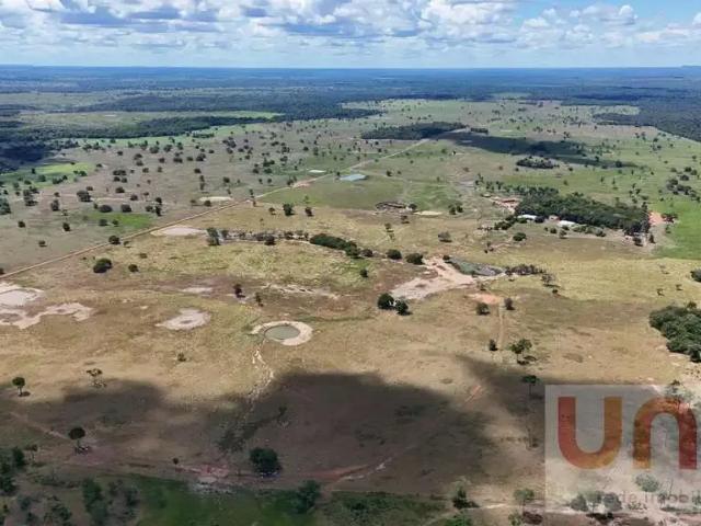Fazenda para Venda em Bonito/MS Alvorada 4 Quartos
