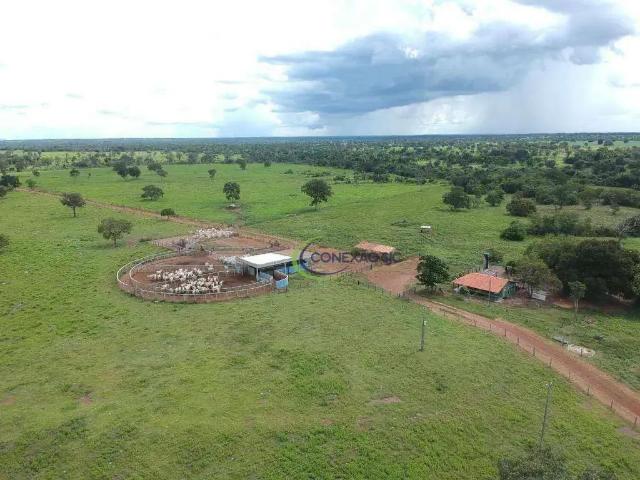 Fazenda para Venda em Bonópolis/GO Setor Central 4 Quartos