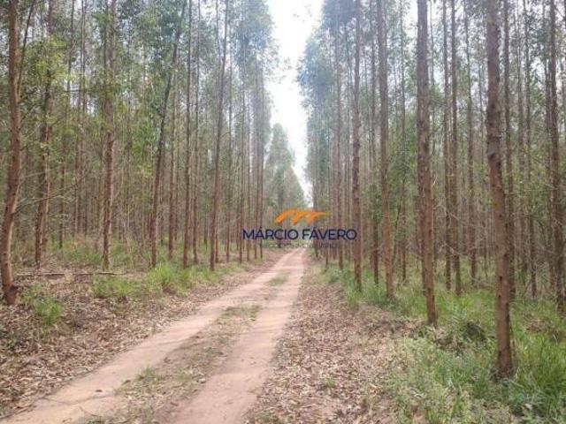 Fazenda para venda em Bauru