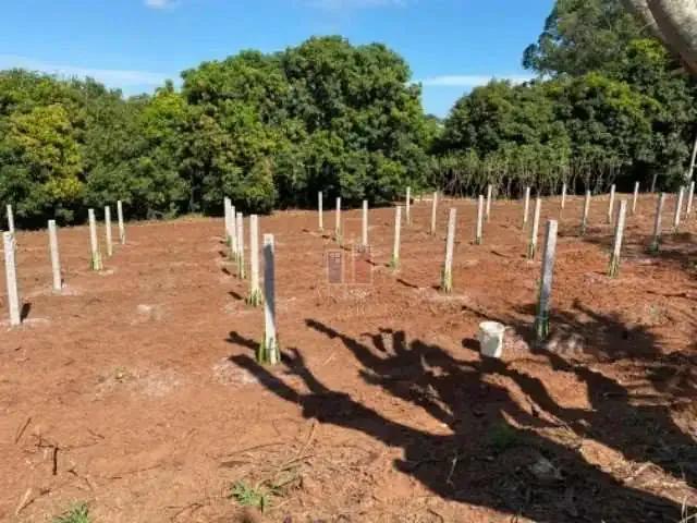 Fazenda para Venda em Bauru/SP Vila Ipiranga 2 Quartos