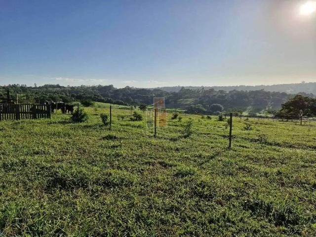 Fazenda para Venda em Bauru/SP Vila Souto 3 Quartos