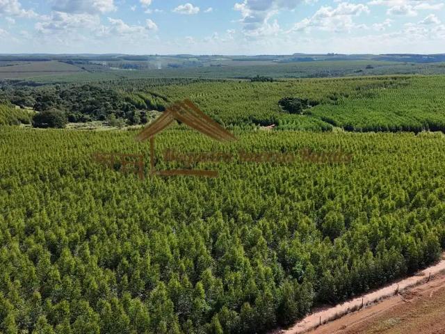 Fazenda para Venda em Bauru/SP Área Rural de Bauru