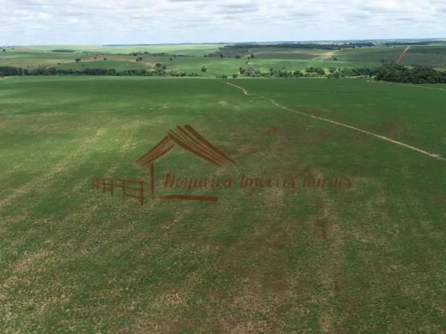 Fazenda para Venda em Bauru/SP Área Rural de Bauru