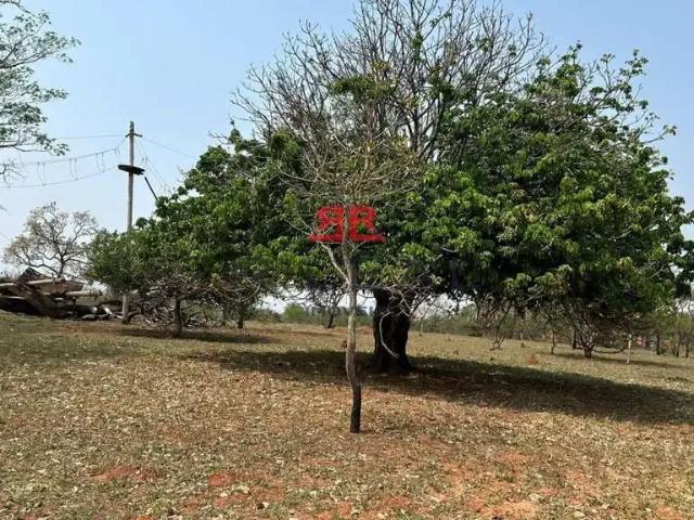 Fazenda para Venda em Bauru/SP Centro