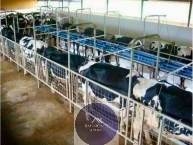 Fazenda para Venda em Bauru/SP Centro 15 Quartos