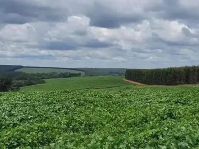 Fazenda para Venda em Bauru/SP Centro