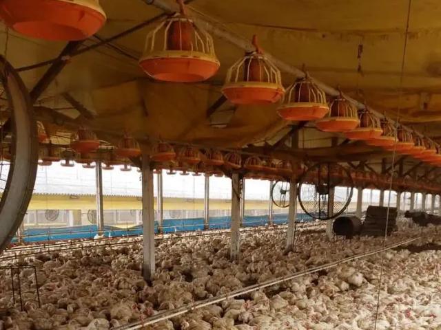 Fazenda para Venda em Bauru/SP Centro