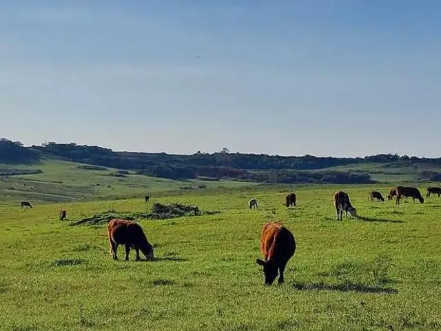 Fazenda para Venda em Bagé/RS Centro