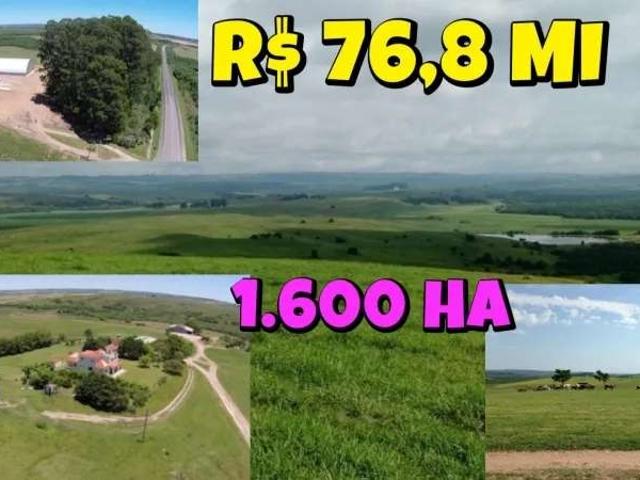 Fazenda para Venda em Bagé/RS Centro