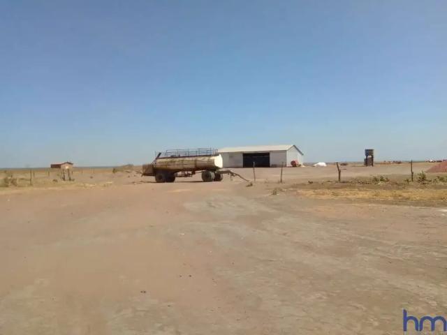 Fazenda para Venda em Baixa Grande do Ribeiro/PI Zona Rural