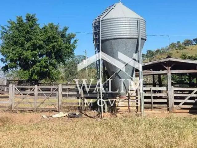 Fazenda para Venda em Baldim/MG Zona Rural 3 Quartos
