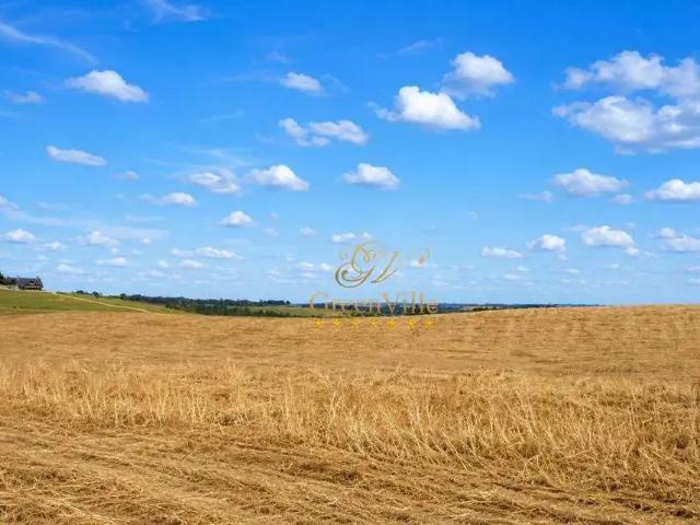 Fazenda para Venda em Balsa Nova/PR São Luiz do Purunã 2 Quartos