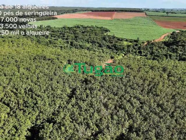 Fazenda para Venda em Bálsamo/SP Zona Rural