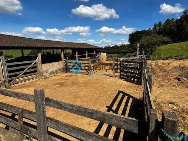 Fazenda para Venda em Bambuí/MG Zona Rural