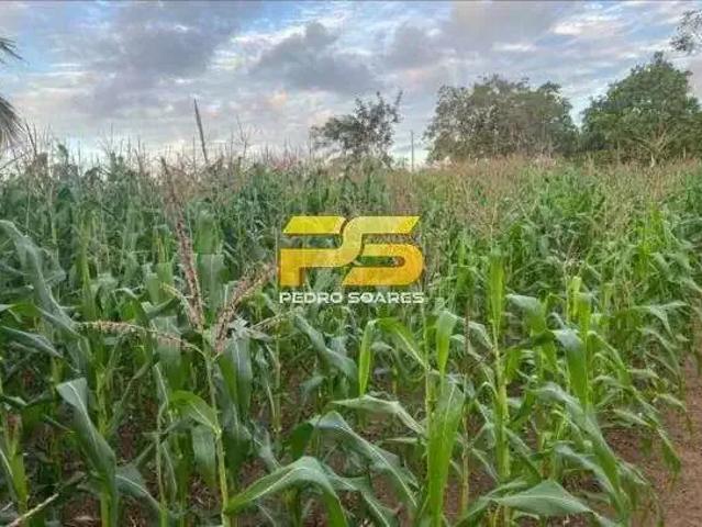 Fazenda para Venda em Bananeiras/PB Centro 3 Quartos