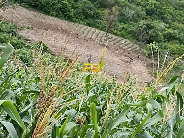 Fazenda para Venda em Bananeiras/PB Distritos