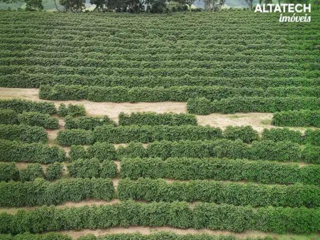 Fazenda para Venda em Bandeira do Sul/MG Zona Rural