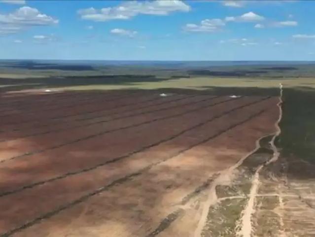 Fazenda para Venda em Barão de Grajaú/MA Zona Rural
