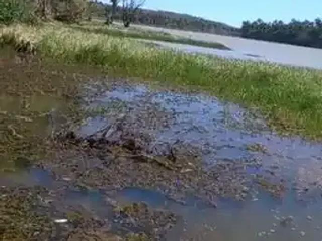 Fazenda para Venda em Barão de Grajaú/MA Zona Rural