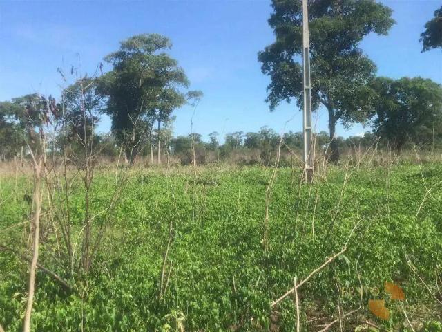 Fazenda para Venda em Barão de Melgaço/MT Zona Rural