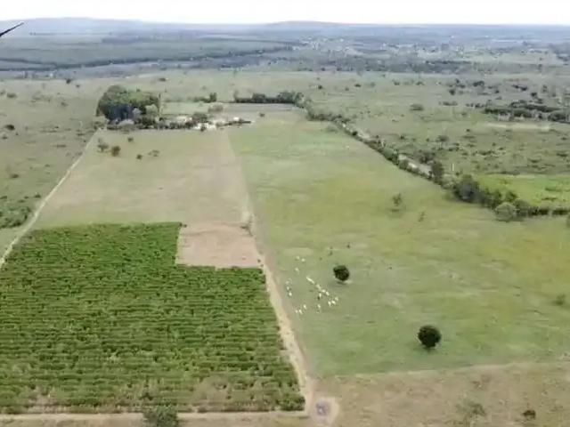 Fazenda para Venda em Barra do Choça/BA Bom Retiro 6 Quartos