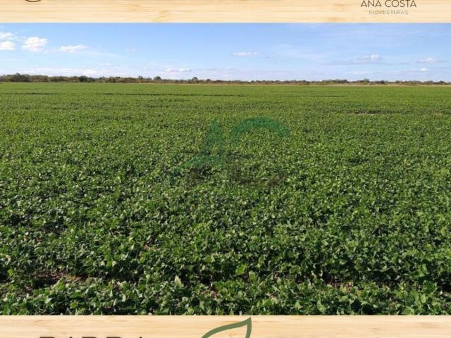 Fazenda para Venda em Barra/BA Centro