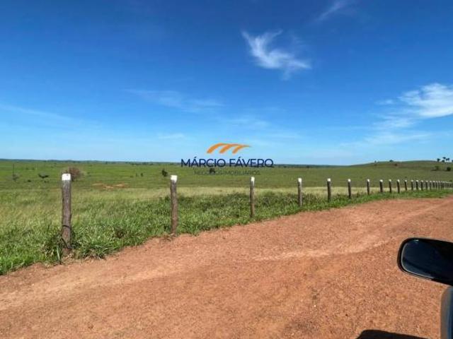 Fazenda para venda em Barretos