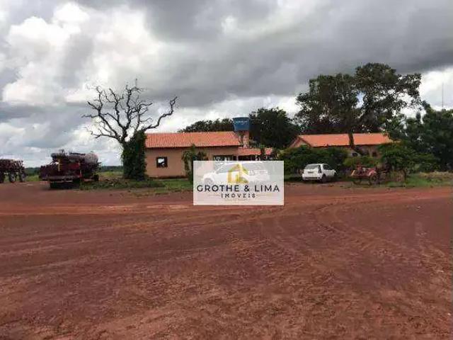 Fazenda para Venda em Barreiras/BA Primavera 8 Quartos