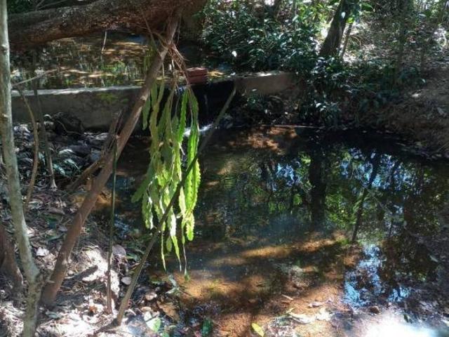 Fazenda para venda em Bela Vista de Goiás