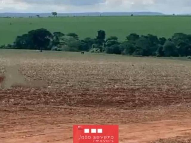 Fazenda para Venda em Bela Vista de Goiás