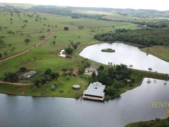 Fazenda para Venda em Bela Vista de Goiás/GO Zona Rural